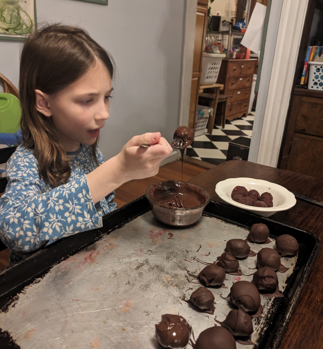 Freeze Dried Raspberry Truffles