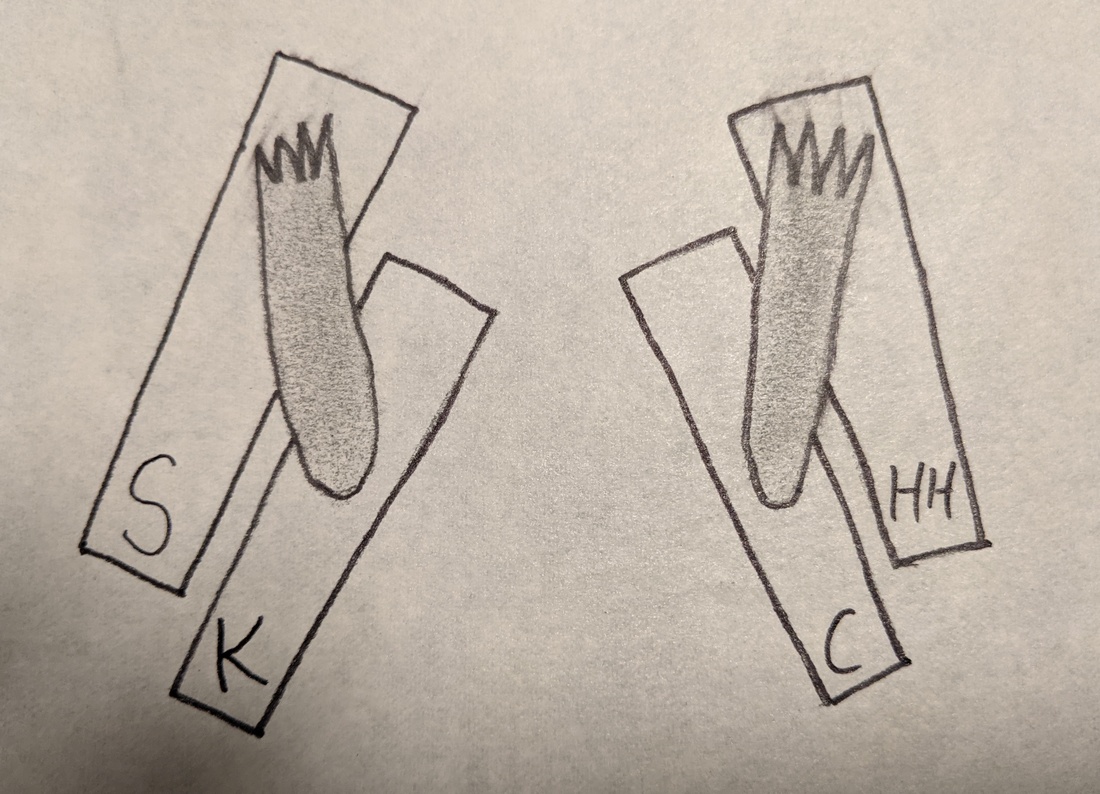 Introduction to Heel-Toe Drumming