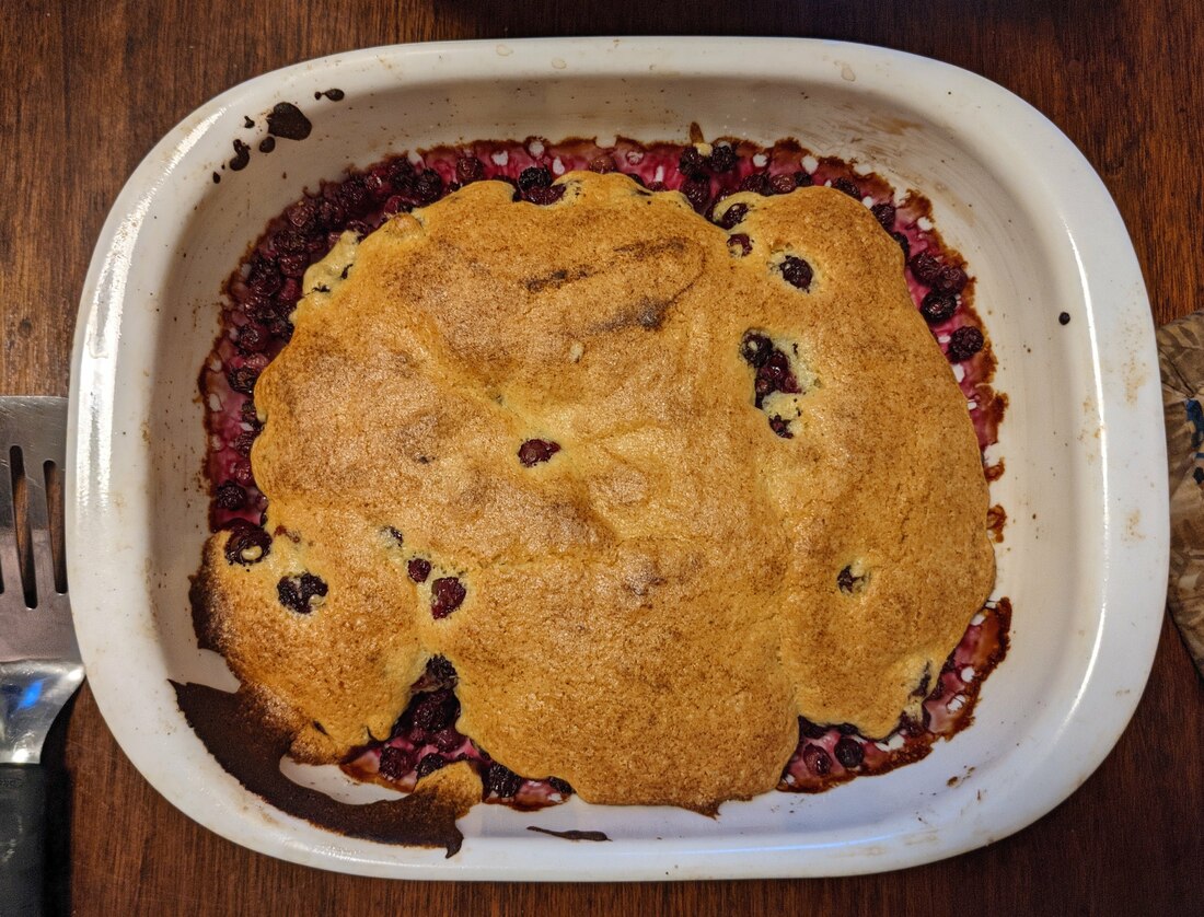 Juneberry Cake