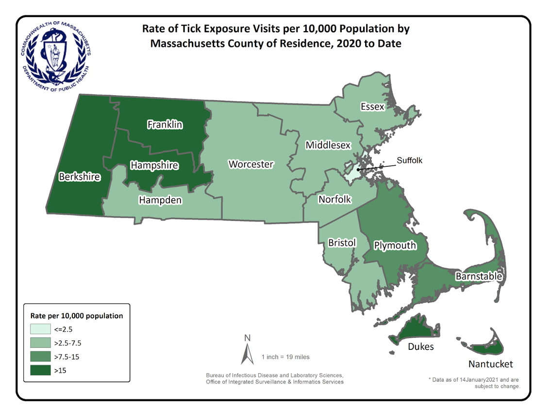 Massachusetts Tick-Borne Disease Distribution